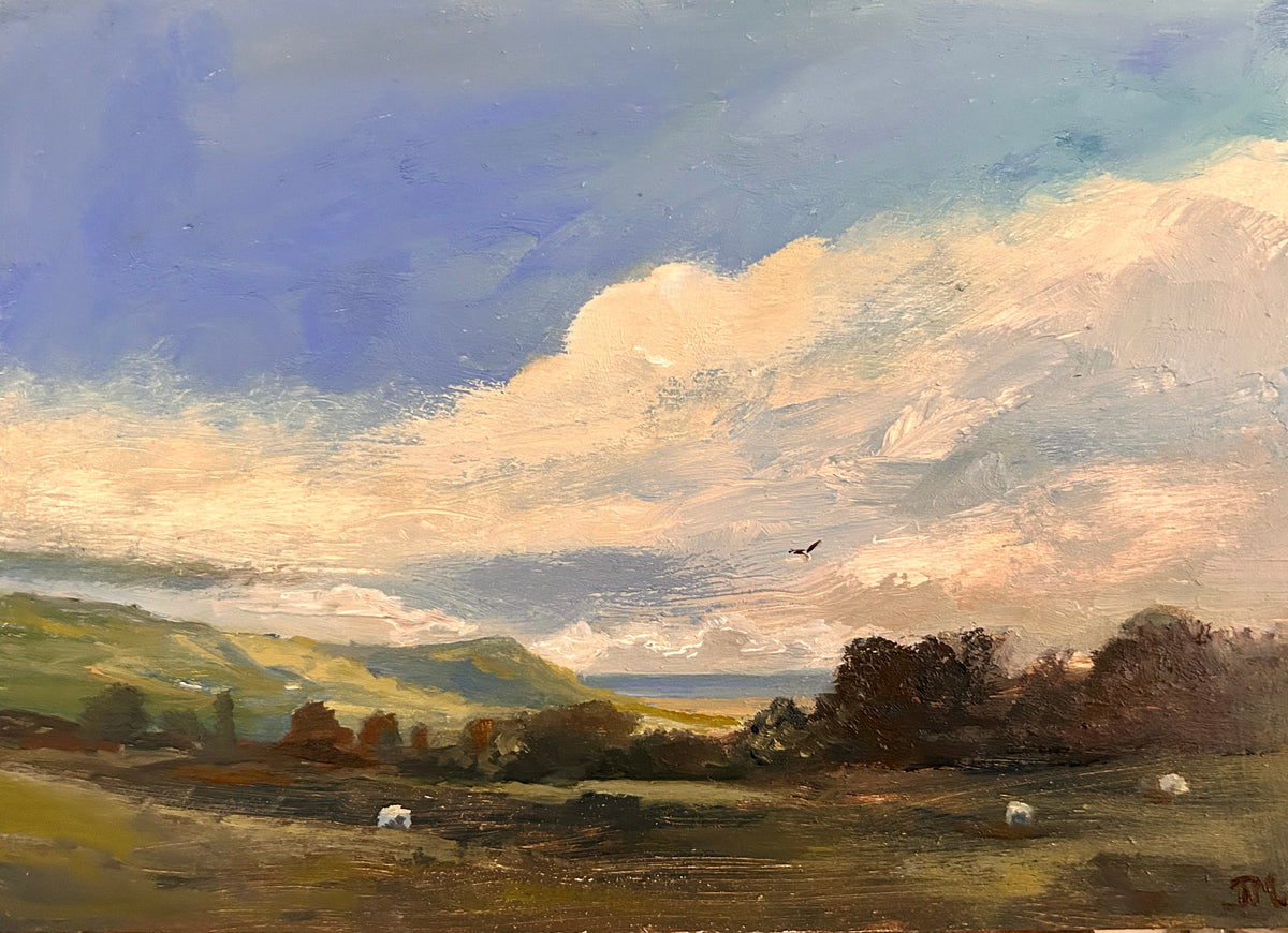 Jane Morrow – Oriel Plas Glyn y Weddw
